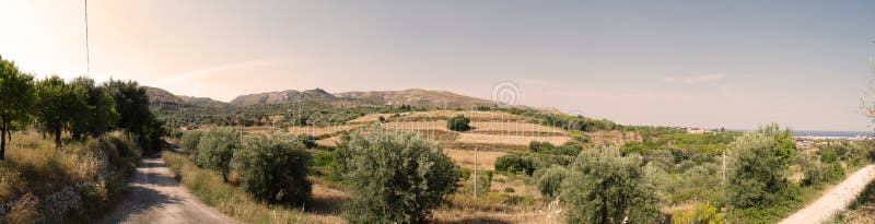 Vegetation of Sicily stock photo. Image of landscapes - 2471722