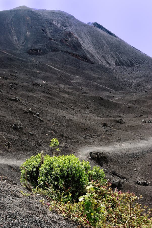 Pacaya Volcano stock image. Image of black, tourism, tourist - 7159531