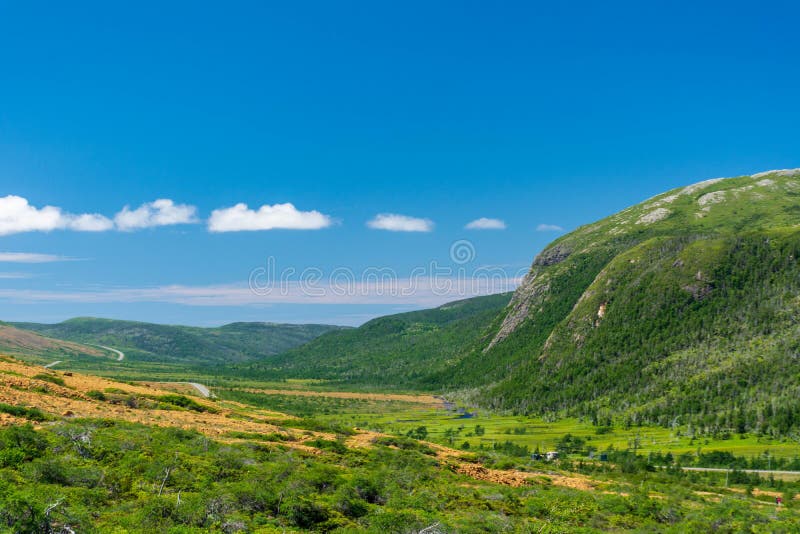 Vegetation in the Tablelands Stock Photo - Image of clouds, hill: 262171674