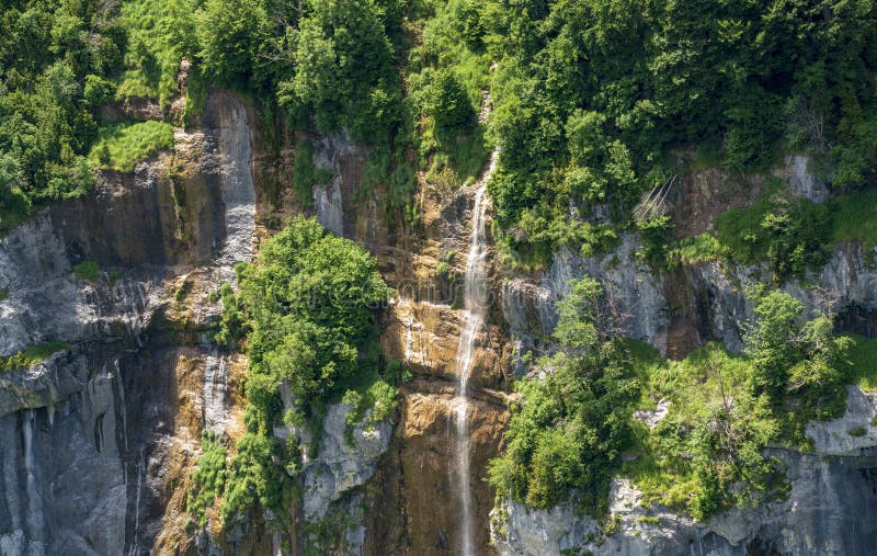 Vegetation and Waterfall in the Canyon Wall Stock Photo - Image of ...