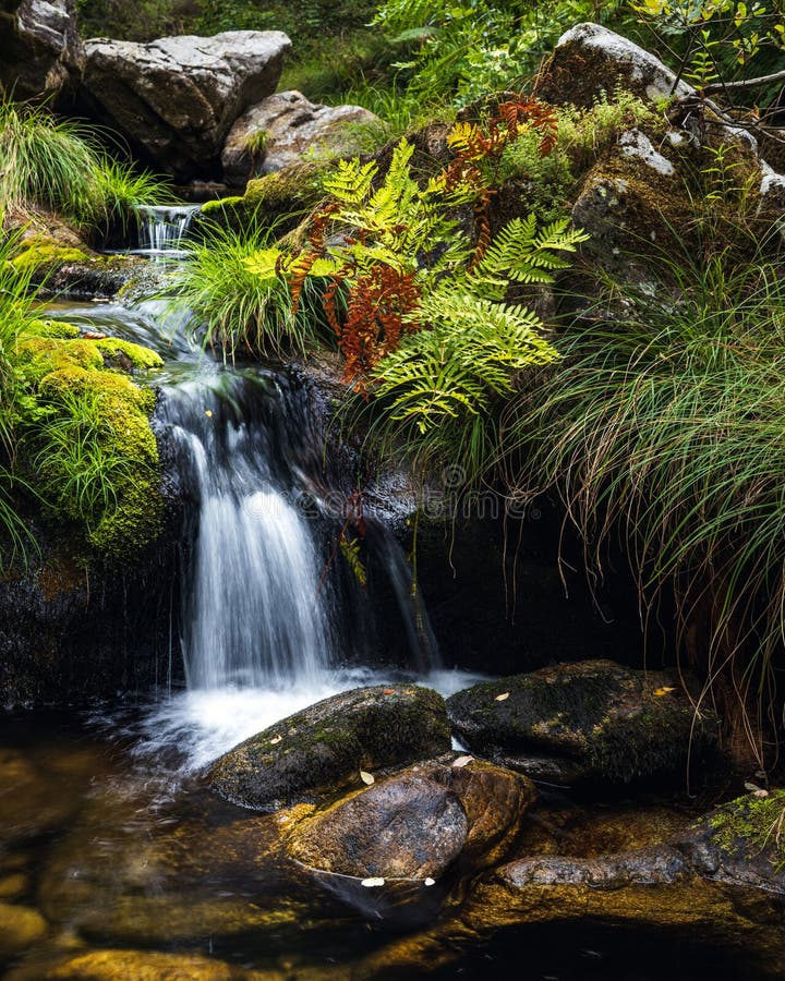 Vegetation and Waterfall in the Canyon Wall Stock Photo - Image of ...