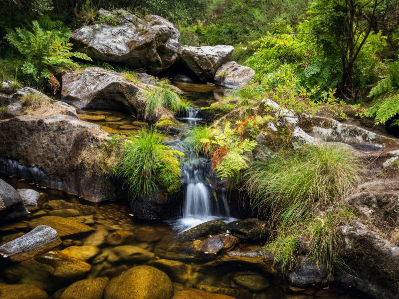Vegetation and Waterfall of River Stream in Agualva Stock Image - Image ...