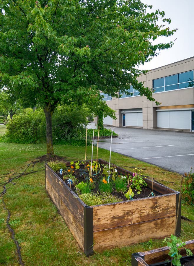 Veggy Garden in Front of Office Building on Overcast Rainy Day Stock ...