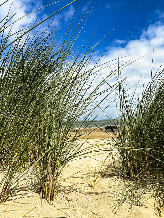 Cadzand Beach, North Sea, Netherlands Stock Photo - Image of evening ...