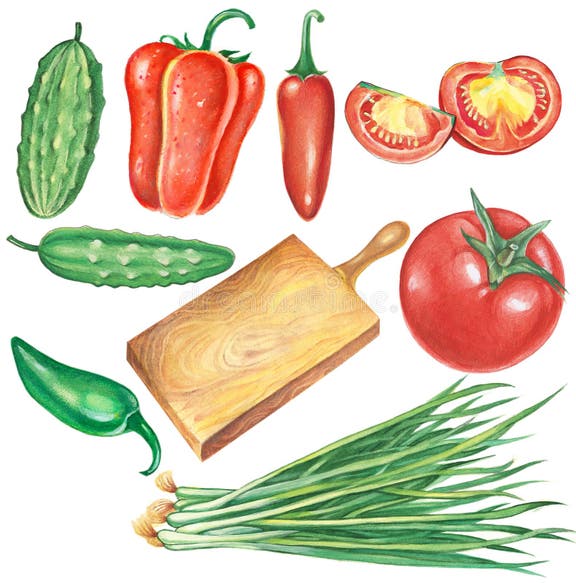 Vehículos stock de ilustración. Ilustración de cebollas - 4955552