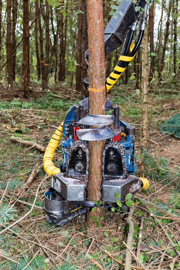 Vehicle with Chain Saw Cutting Down Tree Stock Photo - Image of pine ...