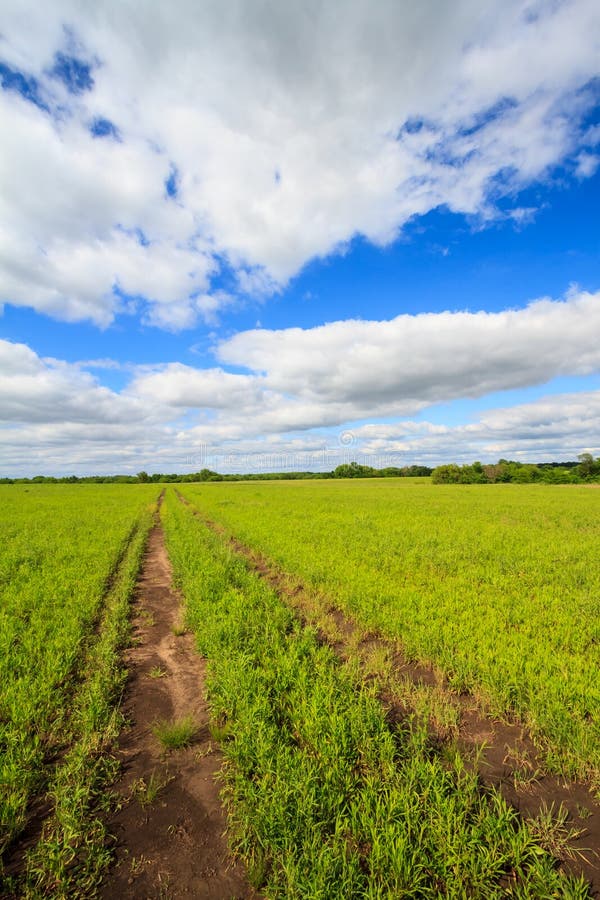 Vehicle Path in Field stock photo. Image of nature, pathway - 65868432