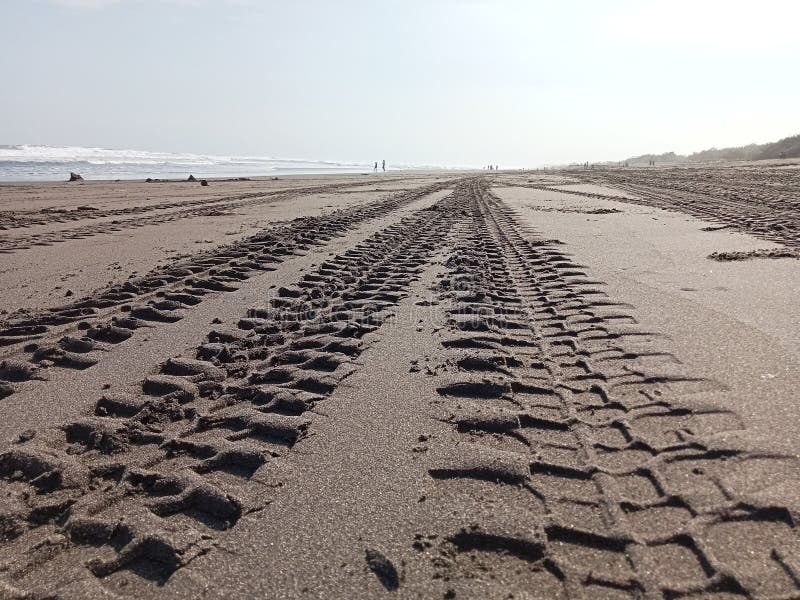 Vehicle Wheel Tracks on the Beach Sand Stock Photo - Image of sand ...