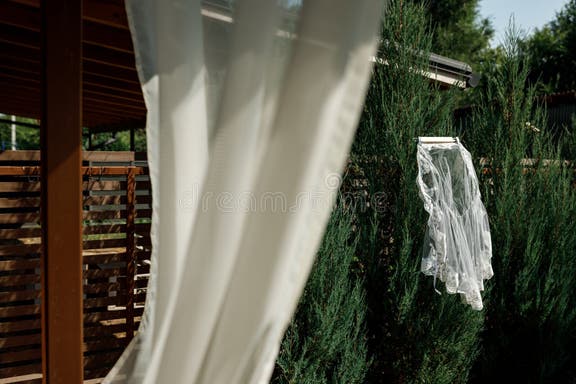 Veil Hanging on a Hanger on a Tree Stock Image - Image of bride, women ...