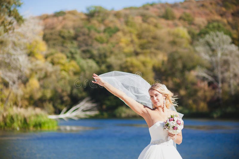 Veil is wind stock image. Image of married, bright, flying - 63052641