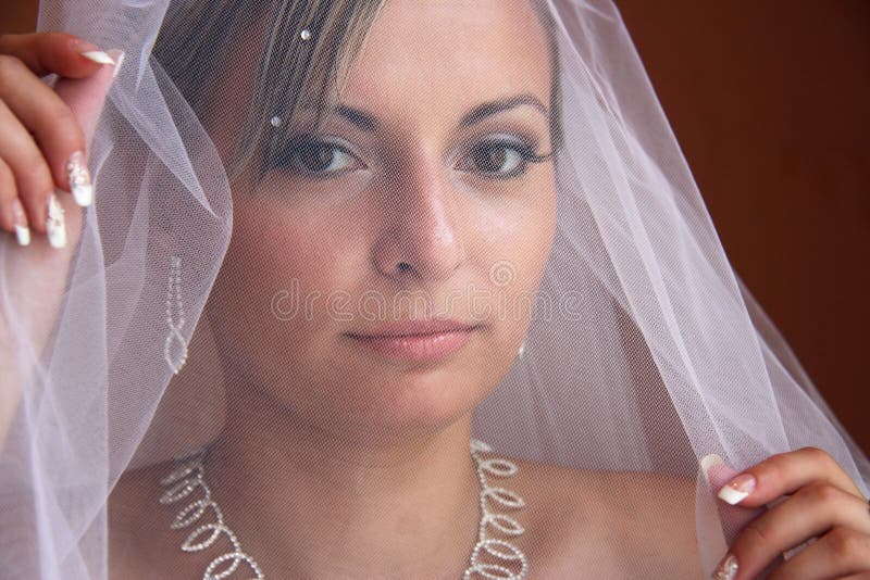 Veiled bride stock photo. Image of style, strapless, commitment - 28118200