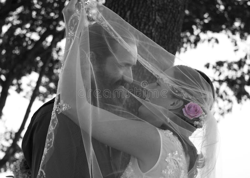 Veiled Love stock photo. Image of love, laughter, bride - 39880988