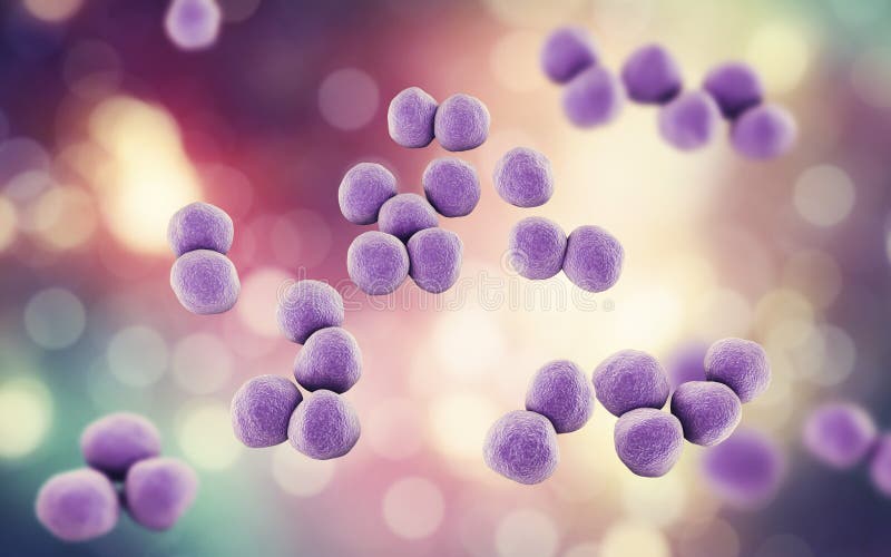 Kokken Stock Illustrationen, Vektors, & Klipart – (1,088 Stock ...