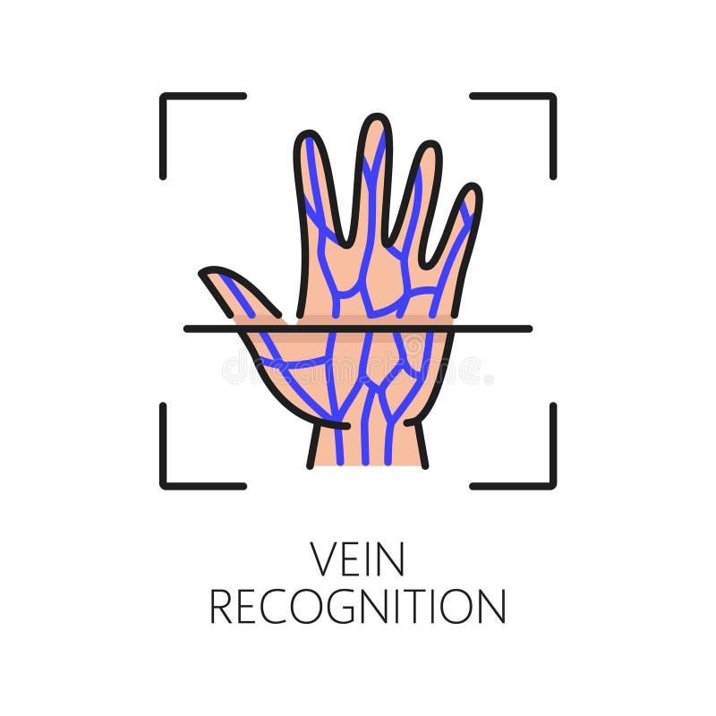 Vein Recognition Biometric Identification Icon Stock Vector ...