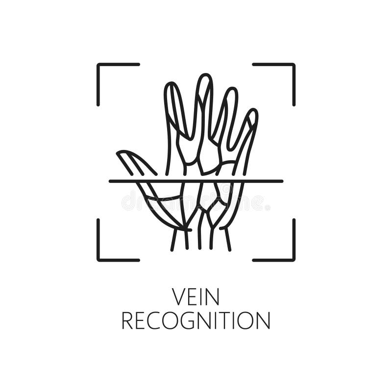 Vein Recognition, Identification Verification Icon Stock Vector ...