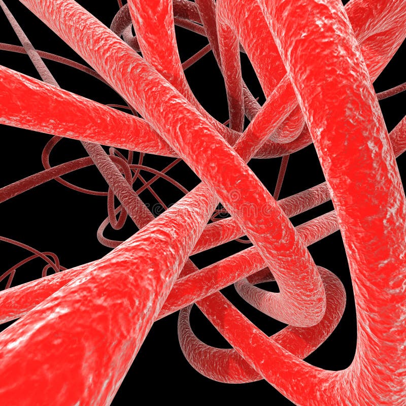 Veins at microscope stock image. Image of microscopia - 12305295