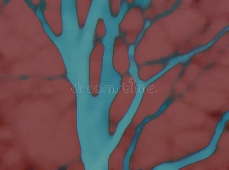 Veins Background Picture. Image: 474541
