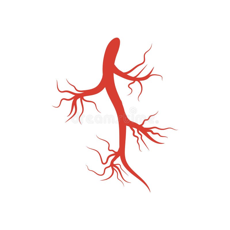 Veins Icon Vector Illustration Design Logo Template Stock Vector ...