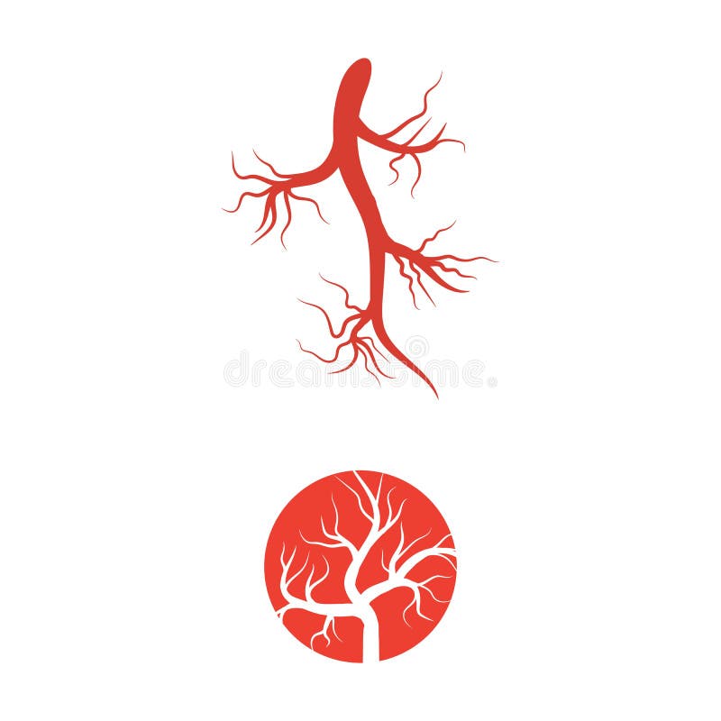 Veins Icon Vector Illustration Design Stock Vector - Illustration of ...