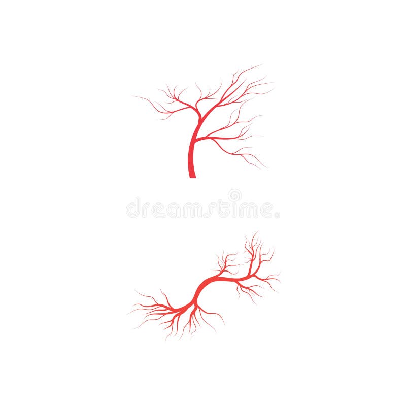 Veins Icon Vector Illustration Design Stock Vector - Illustration of ...