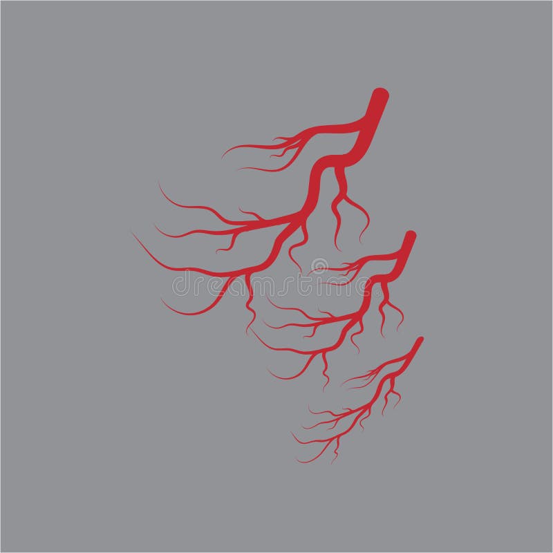 Veins Icon Vector Illustration Design Logo Template Stock Vector ...
