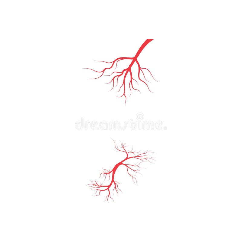 Veins Icon Vector Illustration Design Stock Vector - Illustration of ...