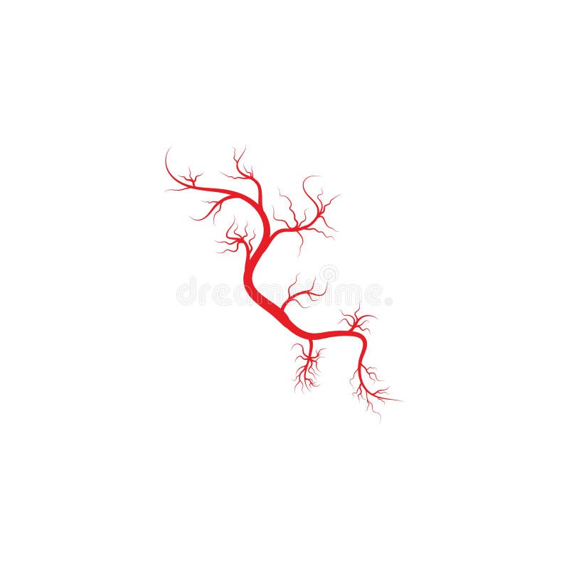 Veins Icon Vector Illustration Design Logo Template Stock Vector ...