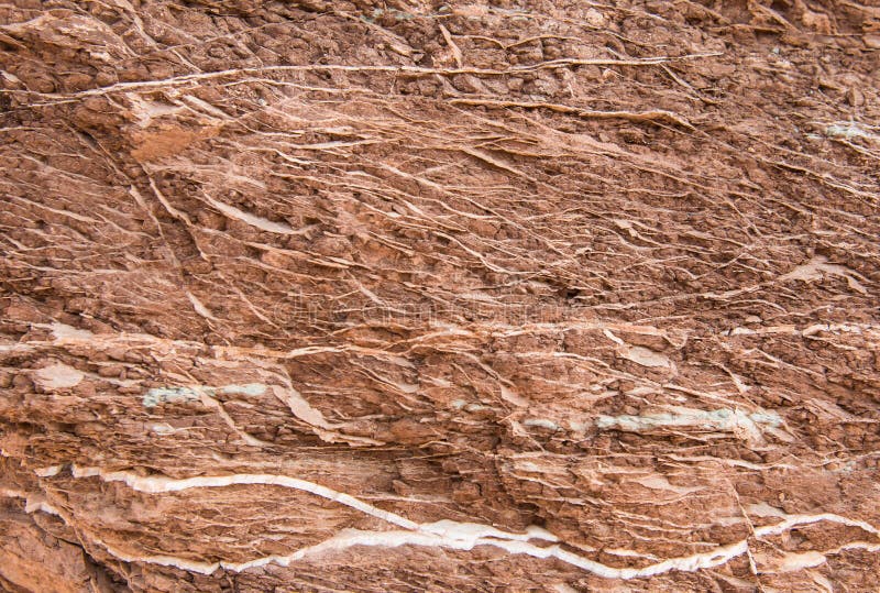 Veins Of Rock In Ein Qetura Nature Reserve Near Eilat Stock Image ...
