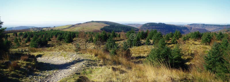 Cwmcarn Mountain Bike Trail Stock Photos - Free & Royalty-Free Stock ...