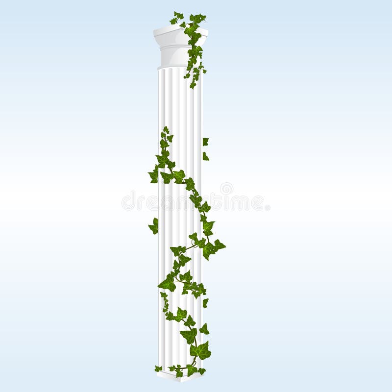 Vektor-Spalte mit Efeu vektor abbildung. Illustration von architektur ...
