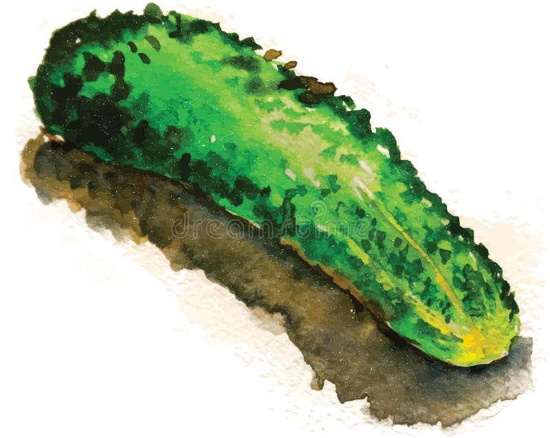 Vektorillustration Der Gurke Vektor Abbildung - Illustration von ...