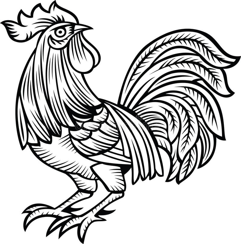 Illustration Mit Dem Bild Eines Hahns In Schwarzweiss Vektor Vektor ...