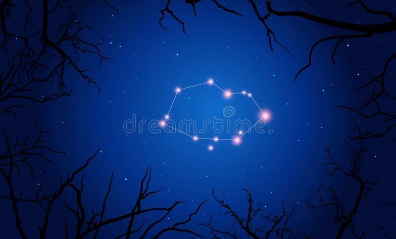 Constellation Outdoors Stock Illustrations – 799 Constellation Outdoors ...