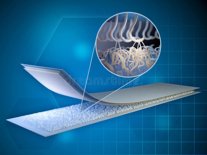 Velcro strip diagram stock illustration. Illustration of fuzzy - 347856794