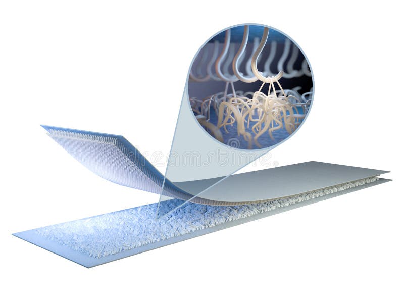 Velcro strip diagram stock illustration. Illustration of sewing - 347856799