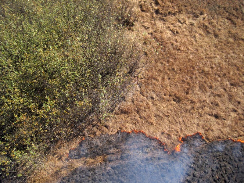 Veld Fire stock image. Image of annual, winter, flaring - 20436173