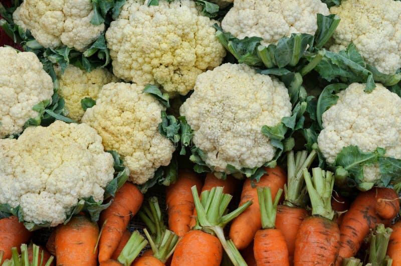 Vele bloemkolen stock foto. Afbeelding bestaande uit organisch - 41309350