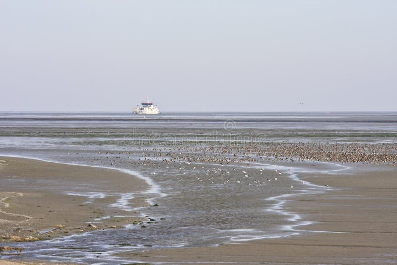Waddenzee Dichtbij Noordkaap in Groningen, Holland Stock Foto - Image ...