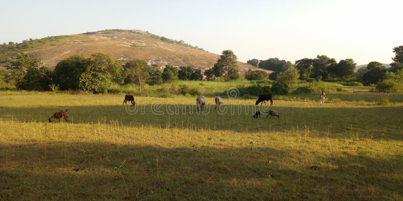 Vellage Mounten india stock image. Image of mounten - 152851283