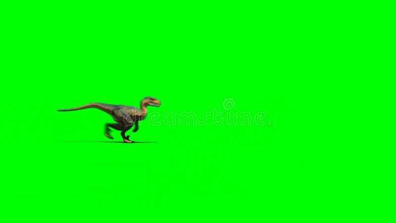 Velociraptor Attacking on Green Screen Stock Footage - Video of ...