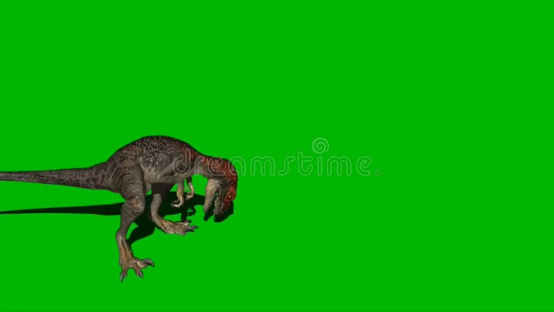 Velociraptor Attacking on Green Screen Stock Footage - Video of dino ...