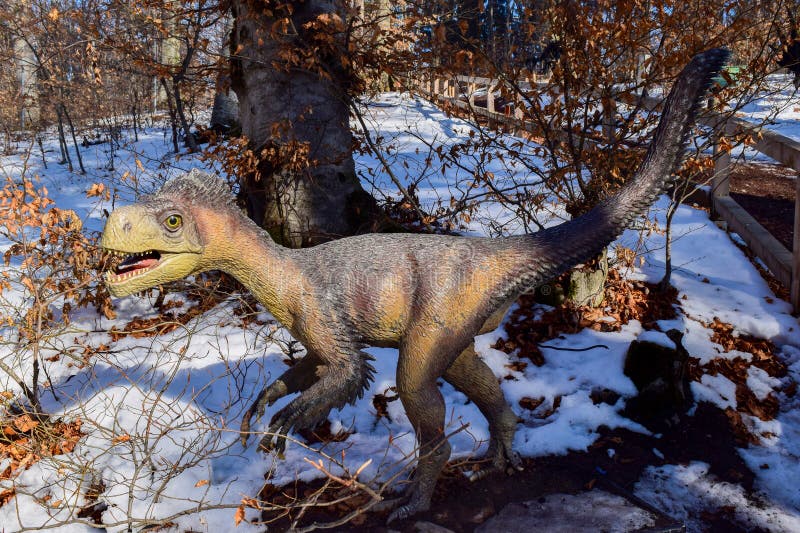 Velociraptor in the park editorial stock photo. Image of mammal - 283658873