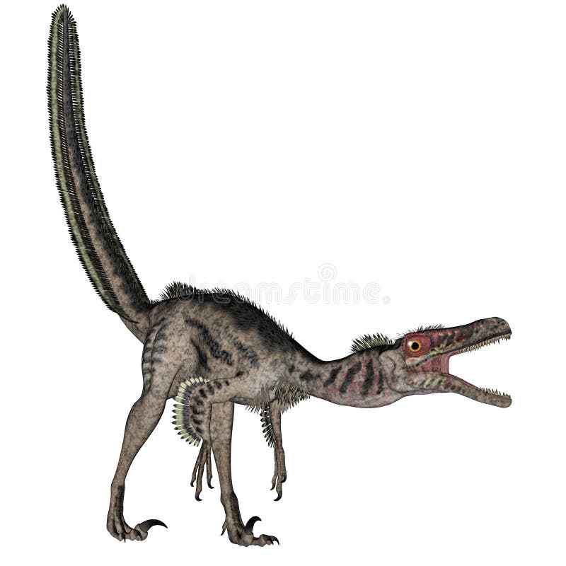 Velociraptor Dinosaur, Full Skeleton Scientifically Correct, Side View ...
