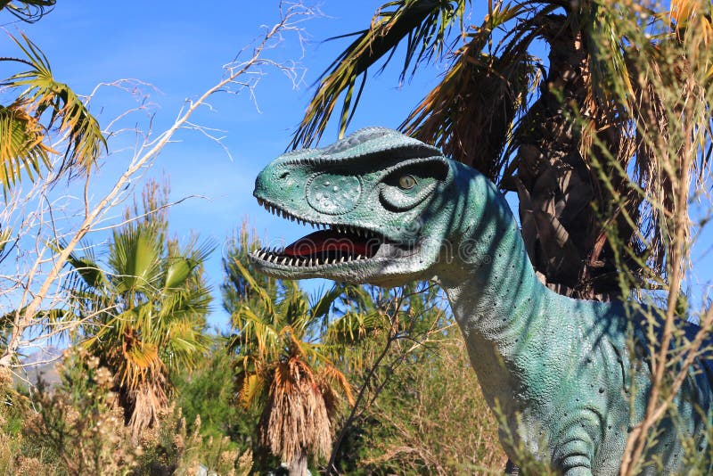 Baby Palms Display Stock Photos - Free & Royalty-Free Stock Photos from ...