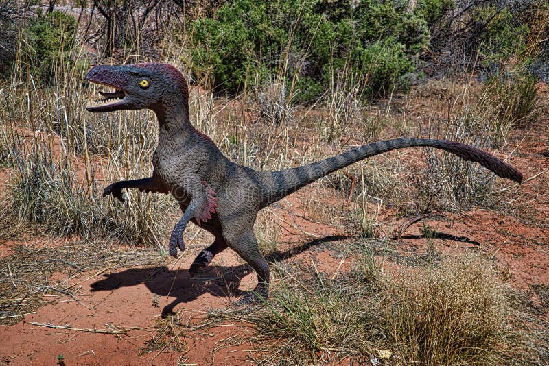 A Velociraptor stock image. Image of raptor, claw, neck - 16352945