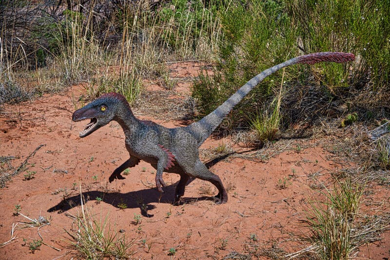 Velociraptor stock image. Image of animal, powerful - 126669323