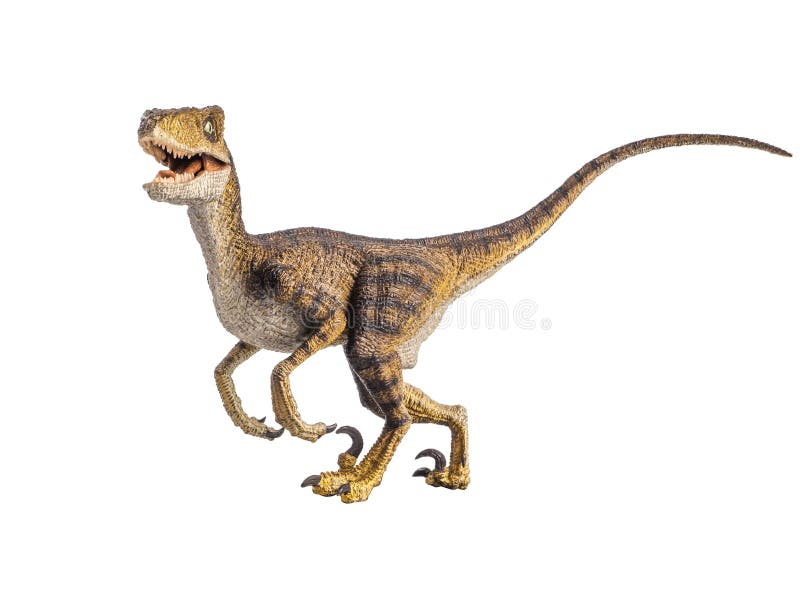 Velociraptor Walking With Dinosaurs