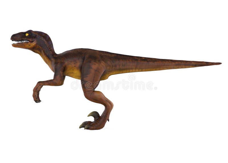 Velociraptor Dinosaurs Isolated Stock Illustration - Illustration of ...