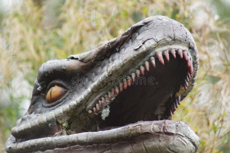 Velociraptor stock photo. Image of carnivorous, wild - 46996688