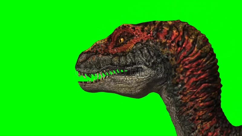 Velociraptor Walking on Green Screen Stock Footage - Video of walking ...